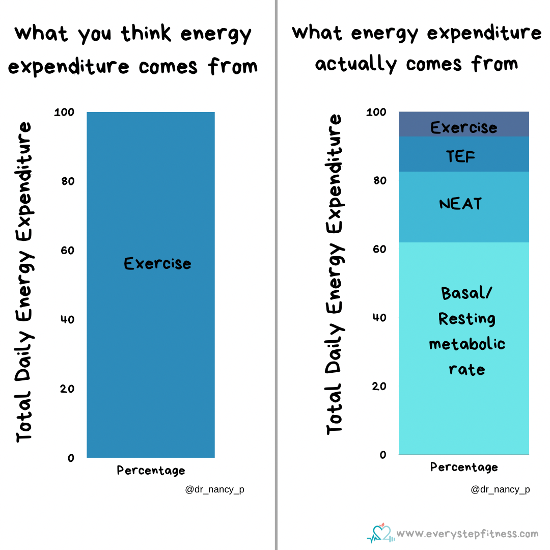 What we think makes up calorie expenditure .. – Every Step Fitness